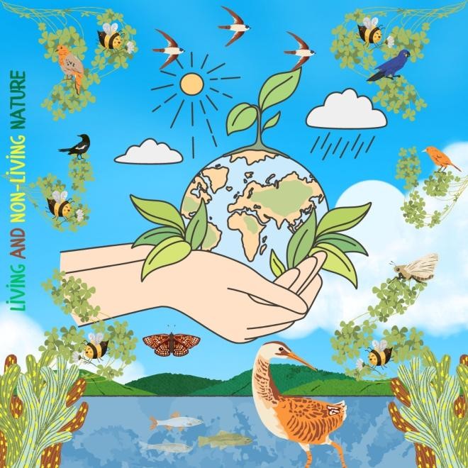 Non Living Things In Nature